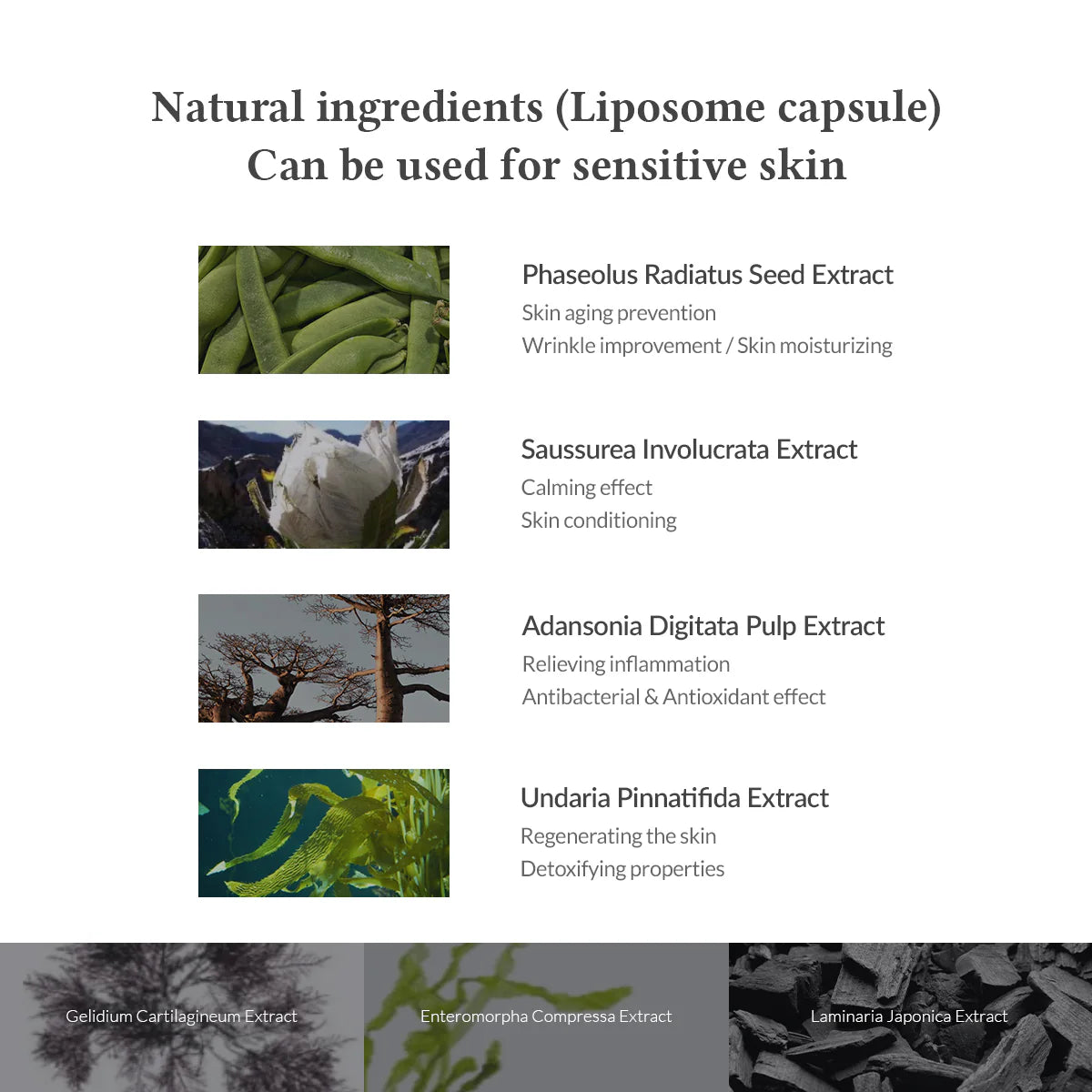 Dr. Althea Premium Quick Step Sebum Cleanser 100ml – Kiyo Beauty