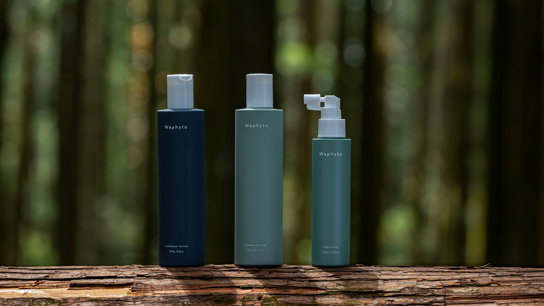 Miche Beauty Tropical Oasis Anti-Humidity Firm Hold Gel 8oz – Kiyo Beauty